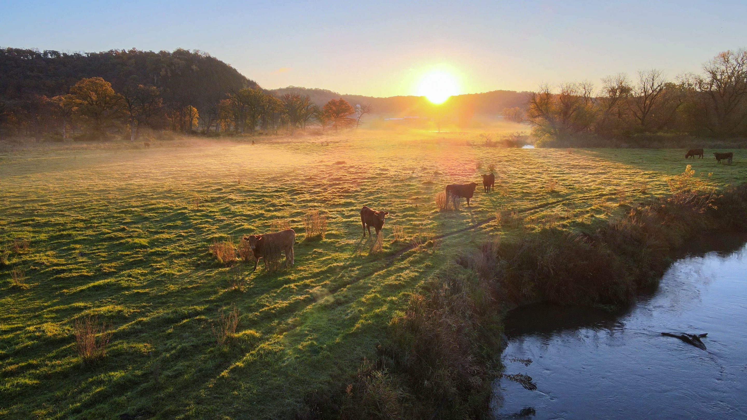 Six Springs Farms - Prem Meats
